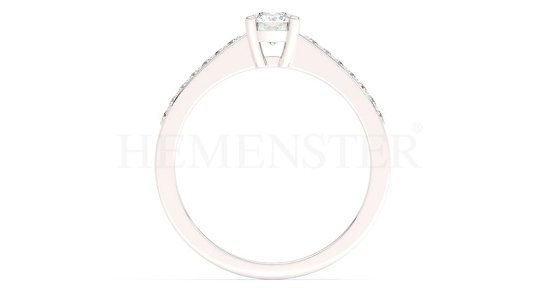 MODELO DEGRASI - Hemenster